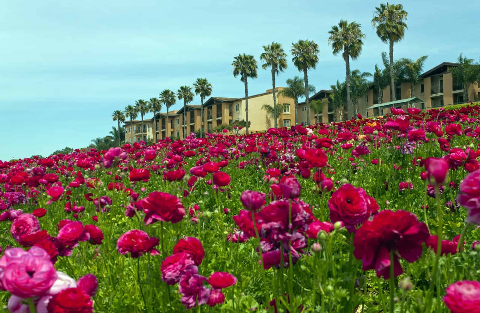 "Spring Effect"- Real Estate Tips to Maximize Agent Earnings